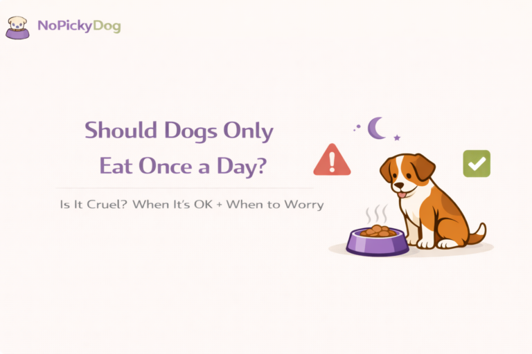 Can You Feed a Dog Once a Day? When It’s OK + When to Worry